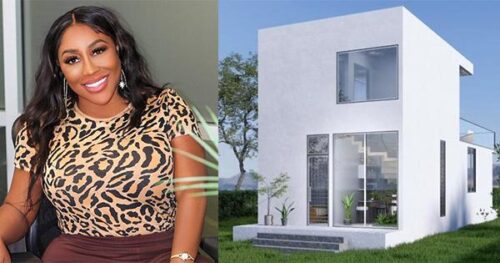 Entrepreneur Launches First Black-Owned Housing Manufacturer That Can ...